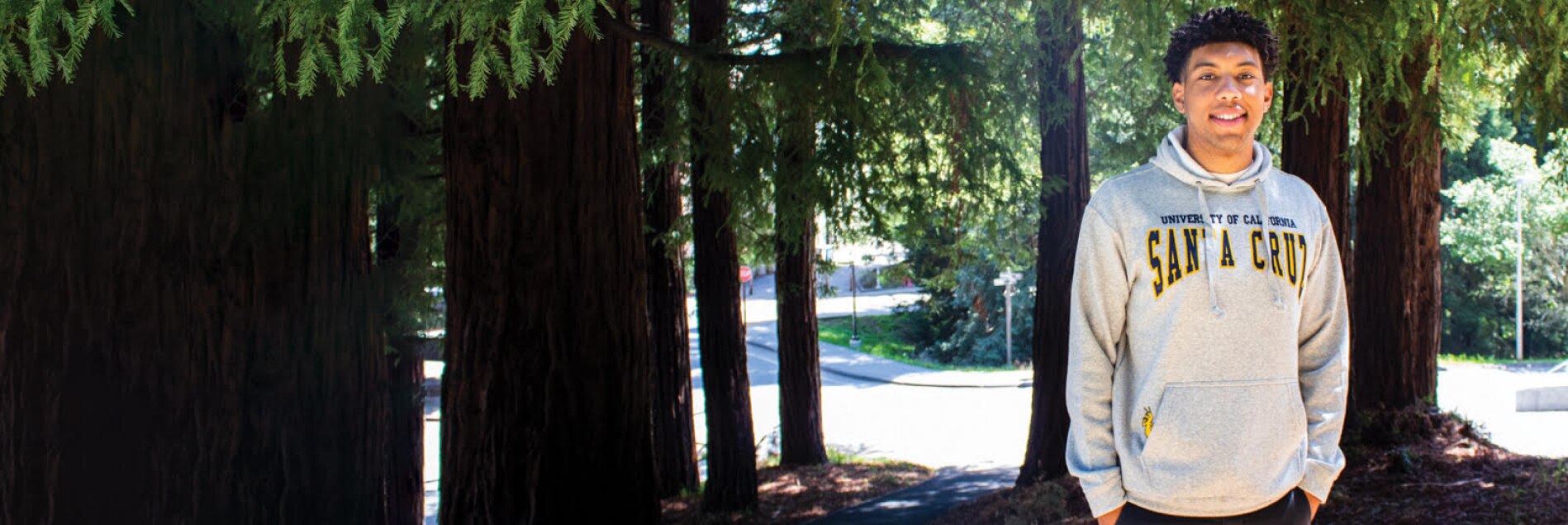 Welcome to the store